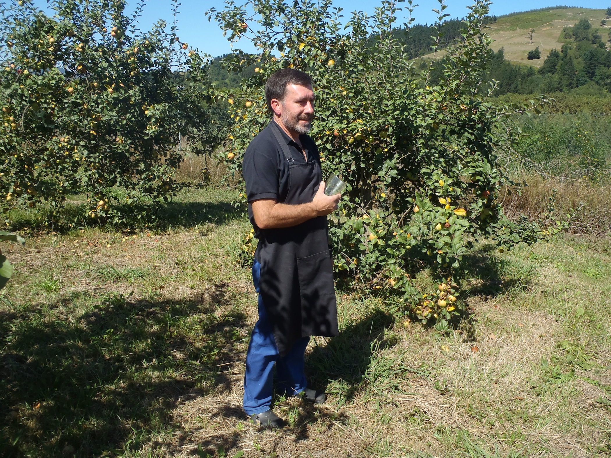 Basque Ciderhouses: Community resource and cultural tradition : Food First