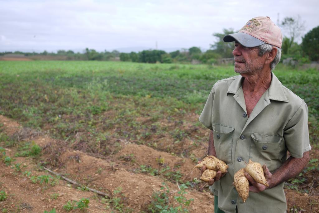 Linking Farmers’ Movements for Advocacy and Practice : Food First