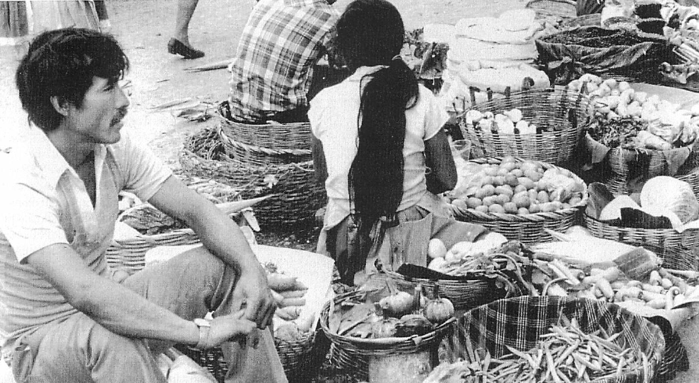 Twelve Myths About Hunger : Food First